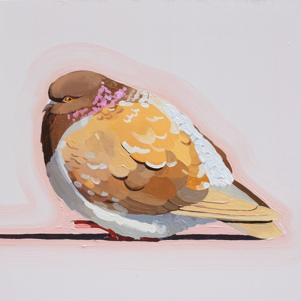 Brown Pigeon Print (multiple sizes) – Leah Gardner Art
